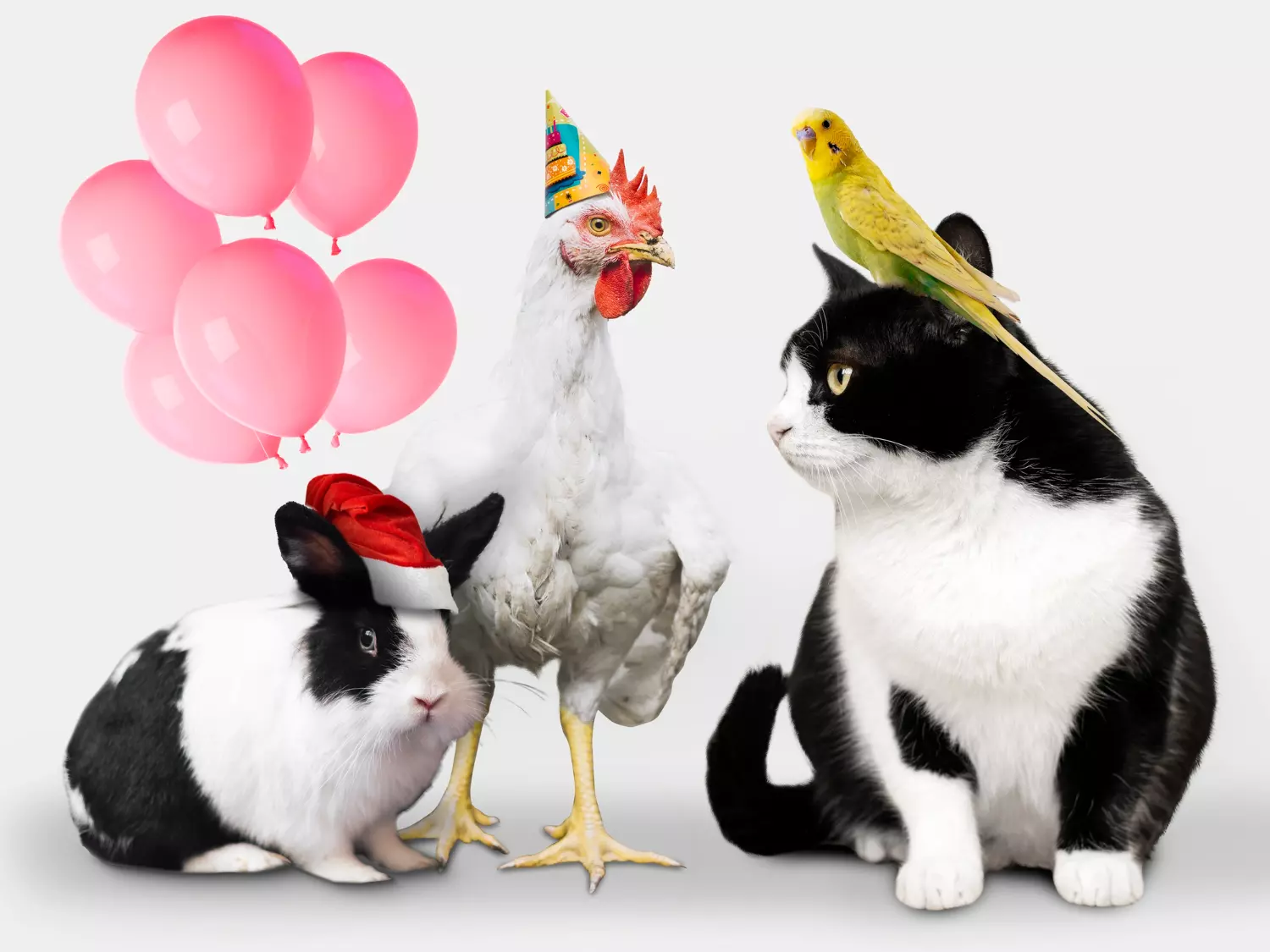 How to Make Balloon Animals - BalloonLab